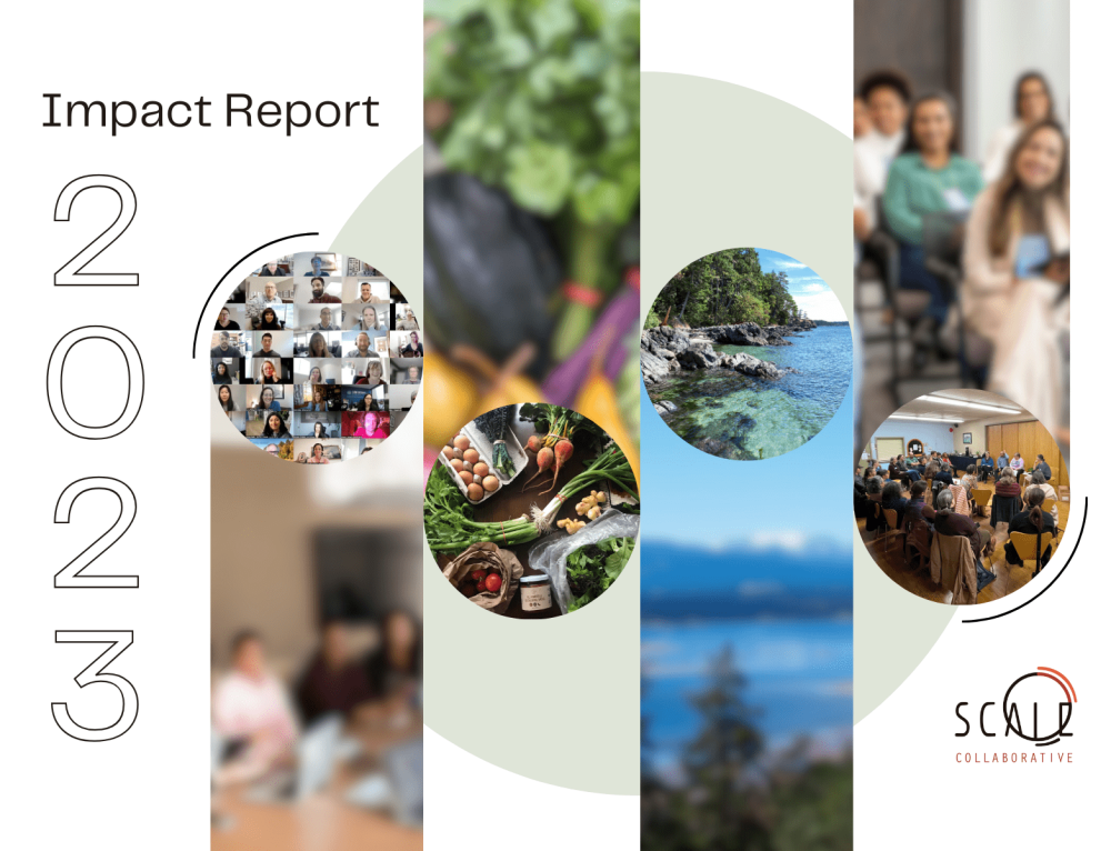 Thriving Non-Profits Cohort Applications Now Open for Spring 2025